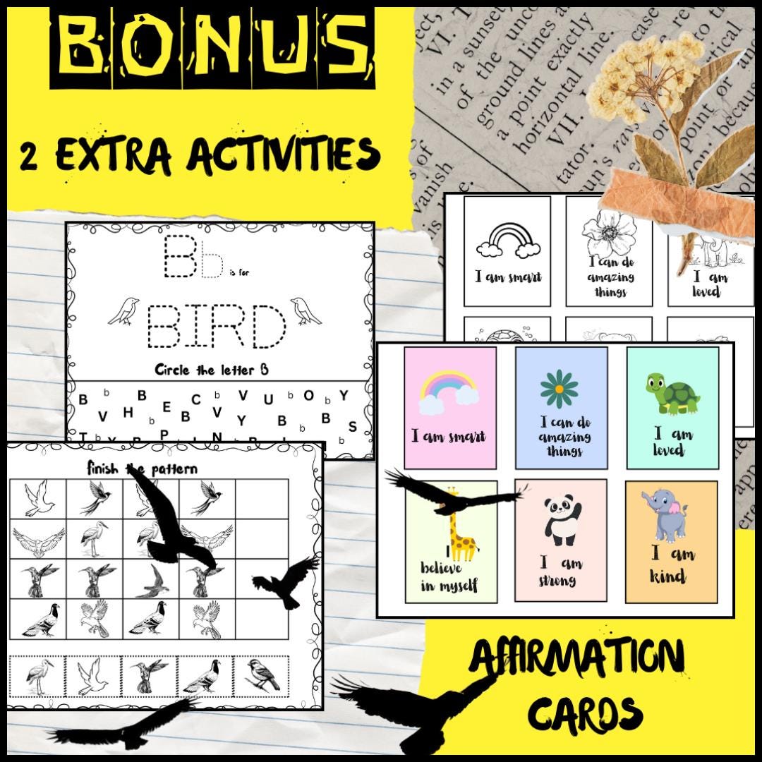 BIRDS- Preschool Weekly Lesson Plan - Etsy