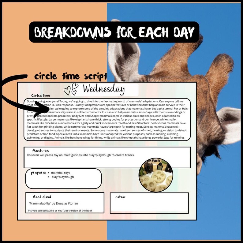 MAMMALS- Preschool Weekly Lesson Plan - Etsy