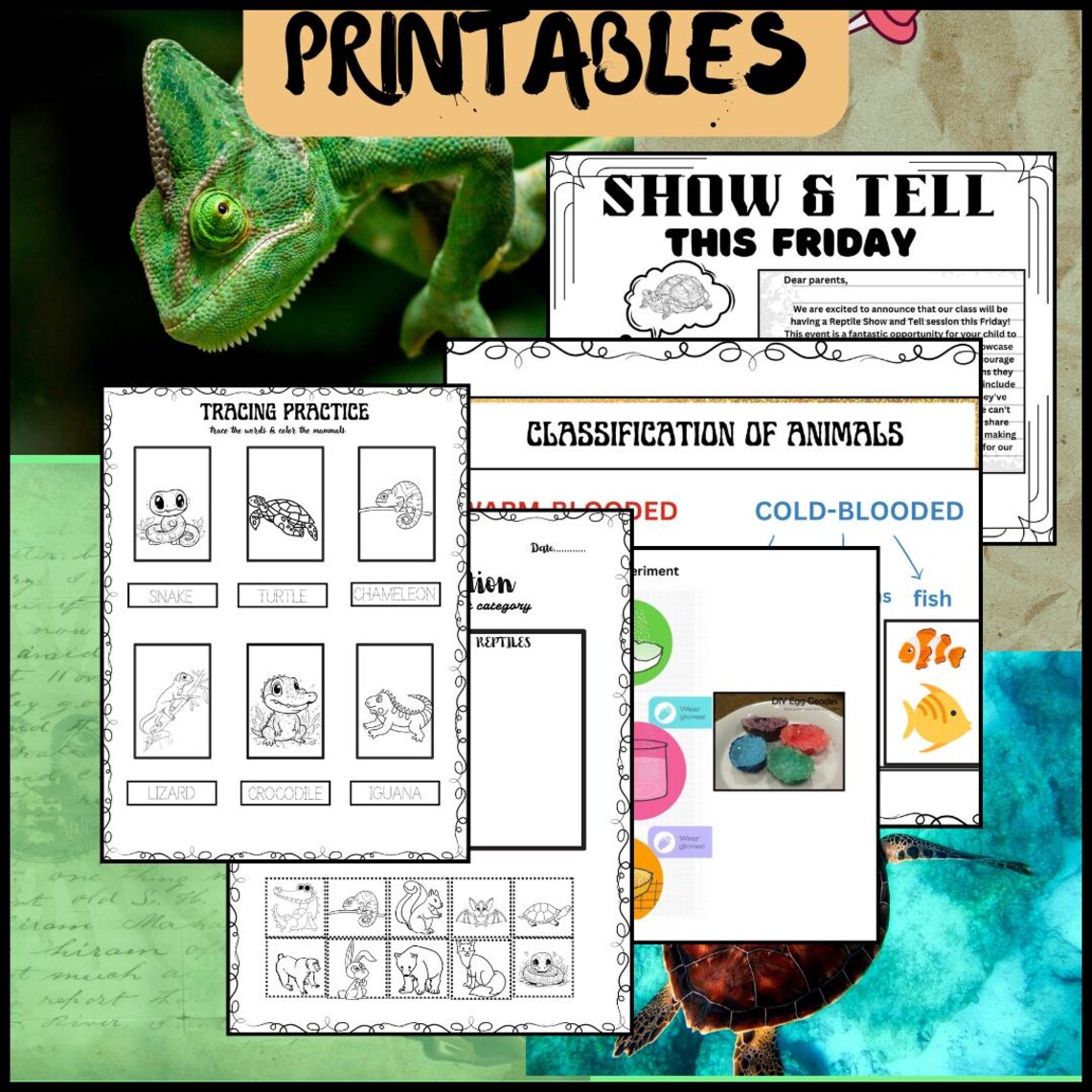 REPTILES- Preschool Weekly Lesson Plan - Etsy