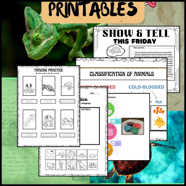 REPTILES- Preschool Weekly Lesson Plan - Etsy