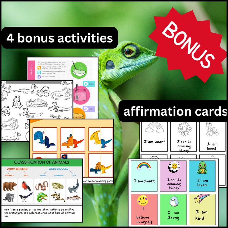 REPTILES Preschool Weekly Lesson Plan - Etsy