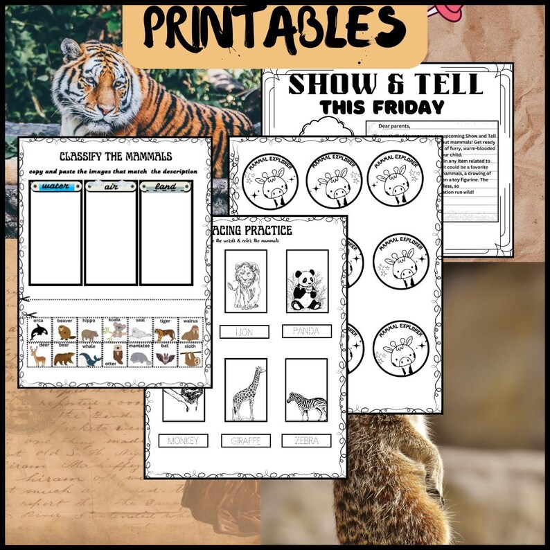 MAMMALS- Preschool Weekly Lesson Plan - Etsy