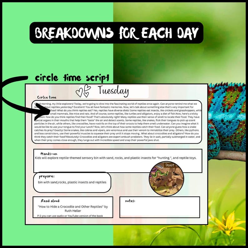REPTILES- Preschool Weekly Lesson Plan - Etsy