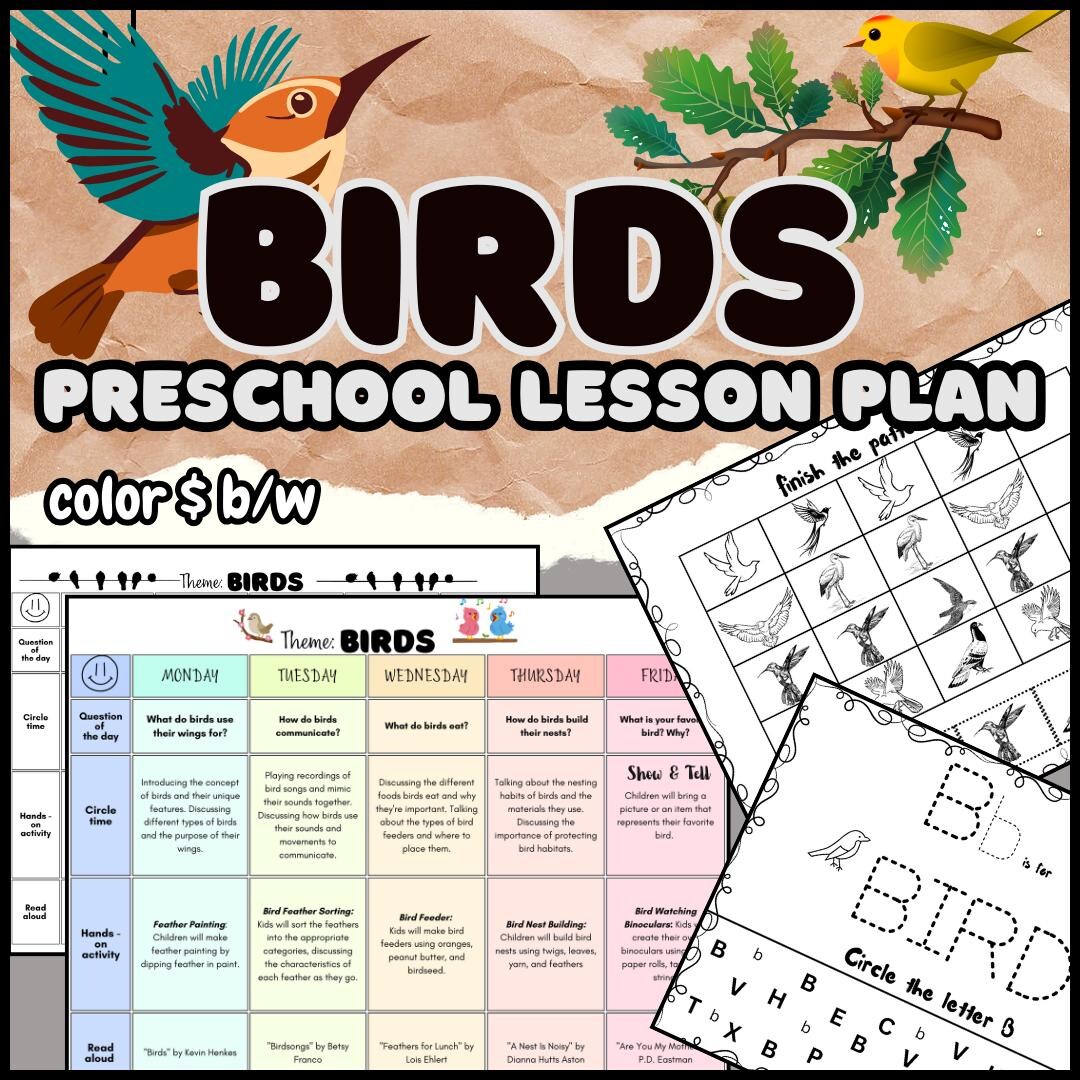 BIRDS- Preschool Weekly Lesson Plan - Etsy