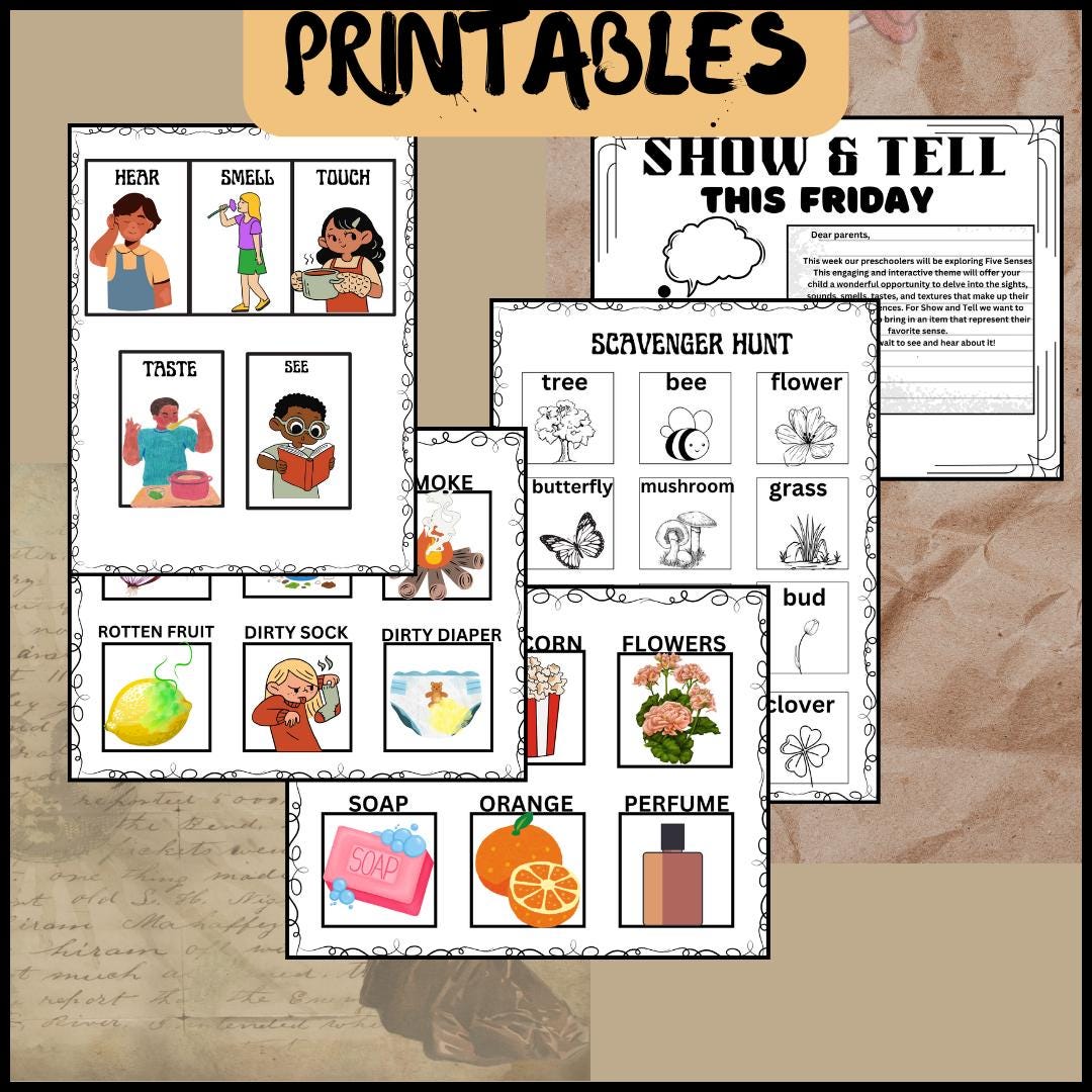 FIVE SENSES- Preschool Weekly Lesson Plan - Etsy