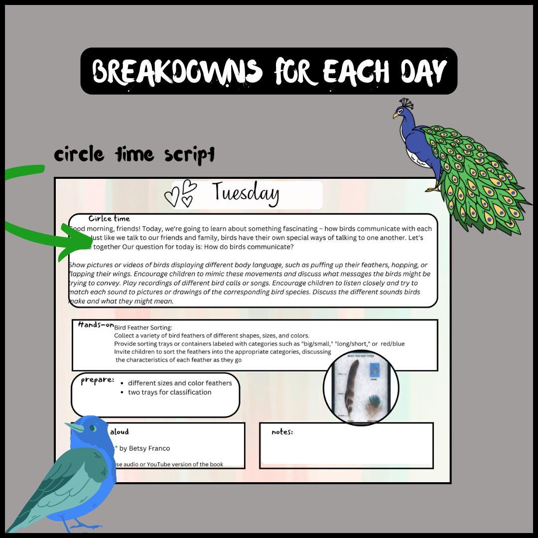 BIRDS- Preschool Weekly Lesson Plan - Etsy