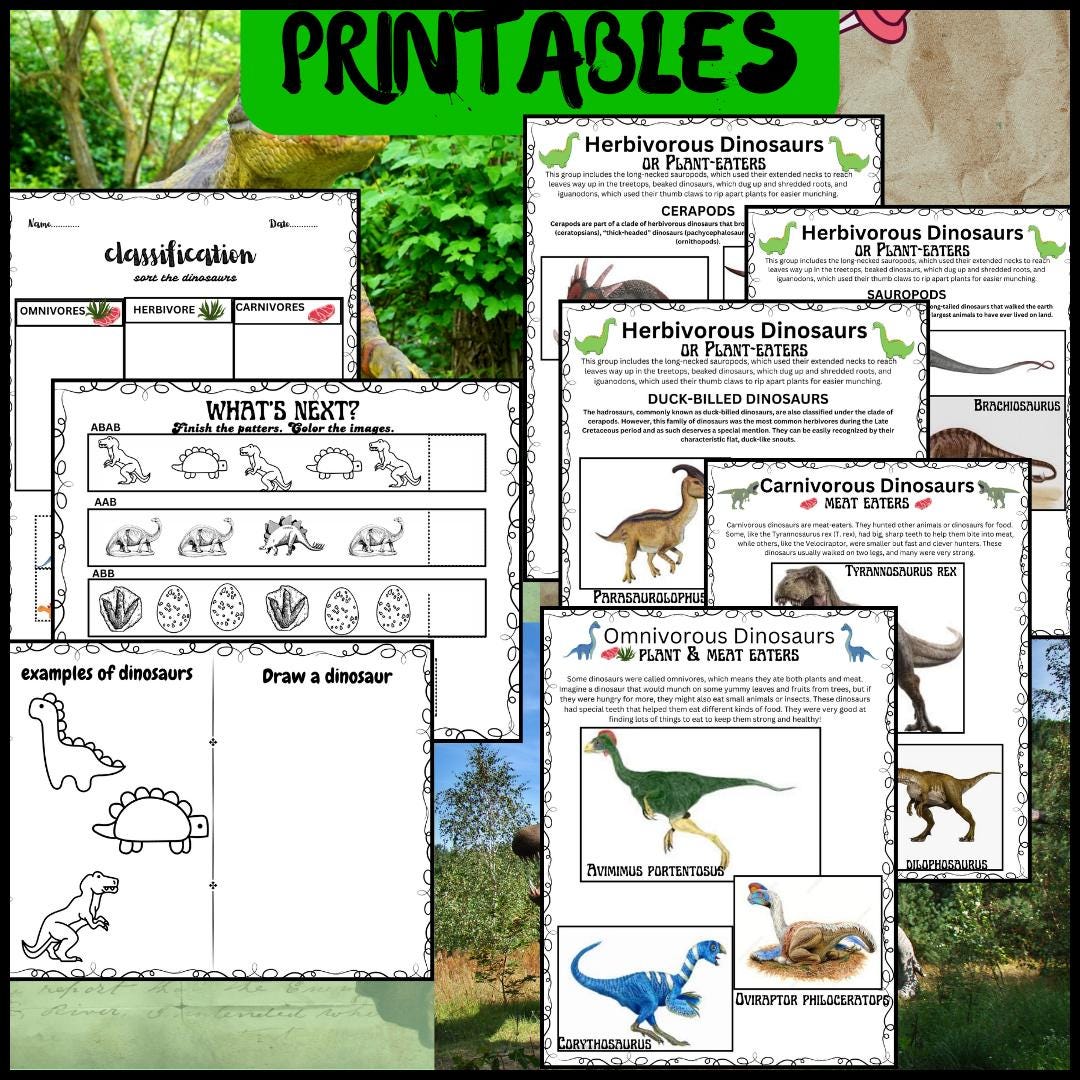 DINOSAURS- Preschool Weekly Lesson Plan - Etsy