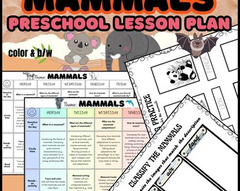 BIRDS- Preschool Weekly Lesson Plan - Etsy