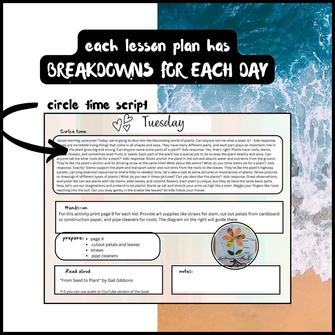 JULY BUNDLE Preschool Lesson Plans- Beach, Picnic, Forest, Garden ...