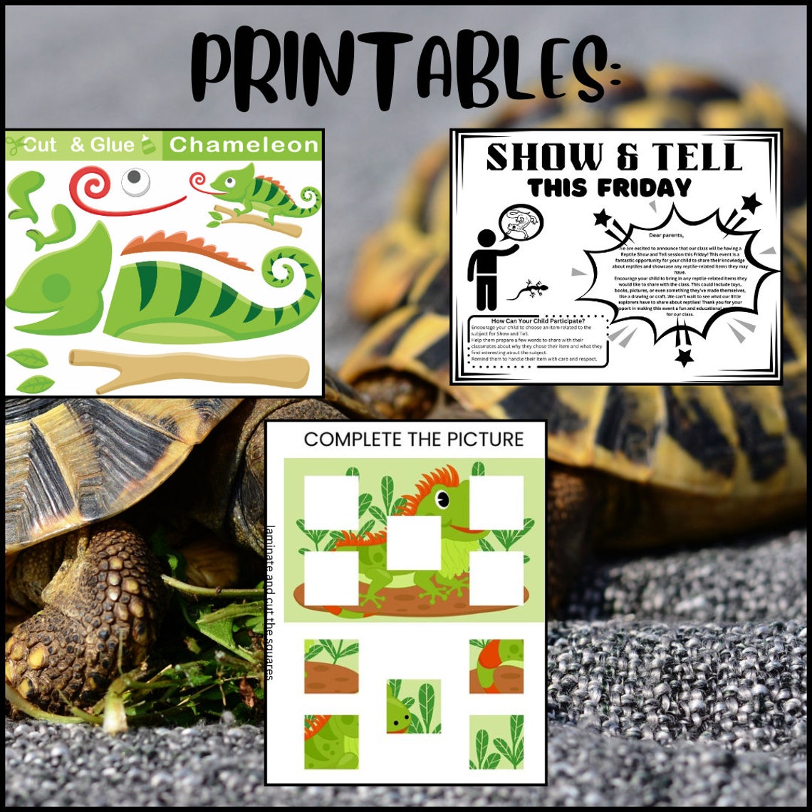 REPTILES Preschool Weekly Lesson Plan - Etsy
