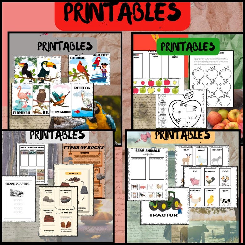 SEPTEMBER BUNDLE Preschool Lesson Plans- Farm, Apples, Birds, Rocks ...