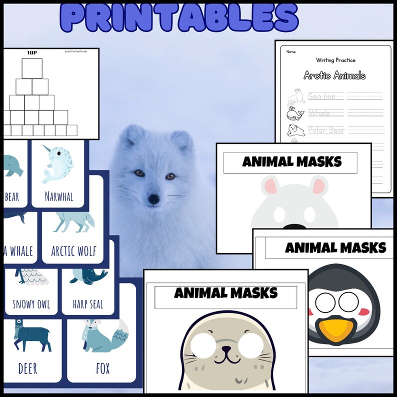 ARCTIC ANIMALS Preschool Weekly Lesson Plan - Etsy