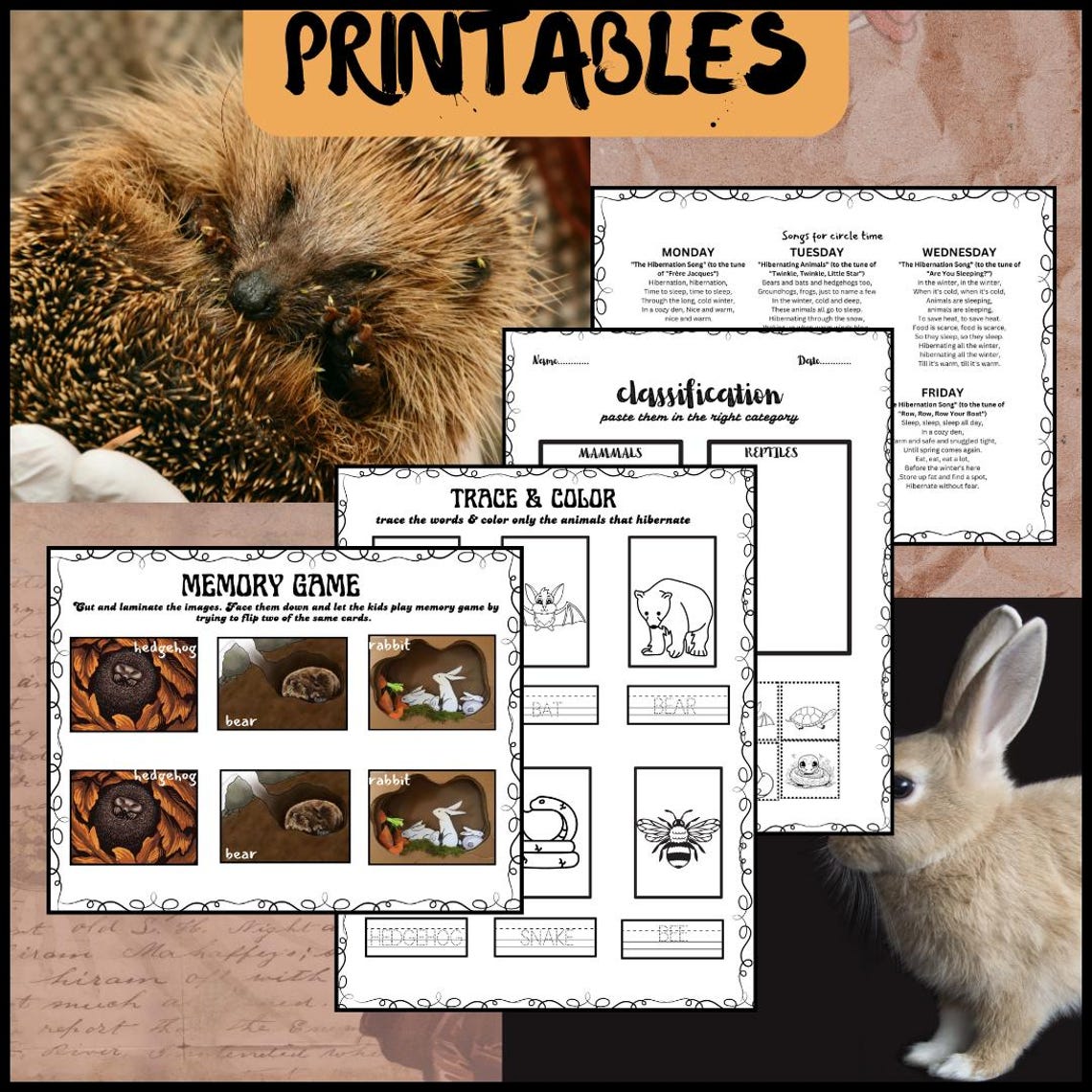 HIBERNATION- Preschool Weekly Lesson Plan - Etsy