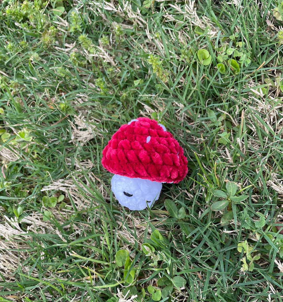 Mushroom Pop, Mushroom Plushie, Fidget Toy, Velvet Mushroom, Gift for ...