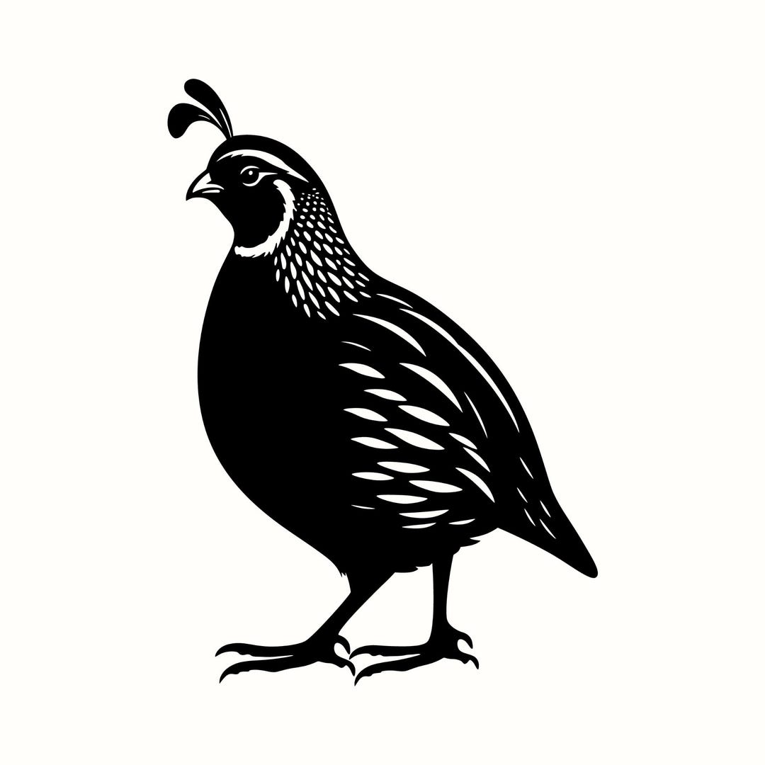 Quail SVG, Quail Silhouette PNG, Wild Bird Clipart, Game Bird Vector ...