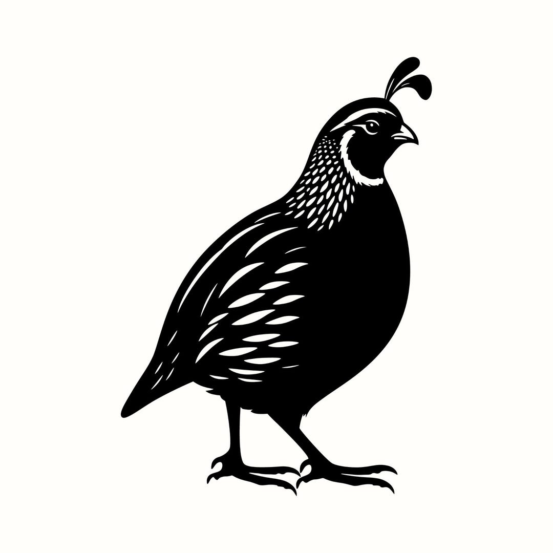 Quail SVG, Woodland Bird Silhouette PNG, Forest Animal Vector, Rustic ...