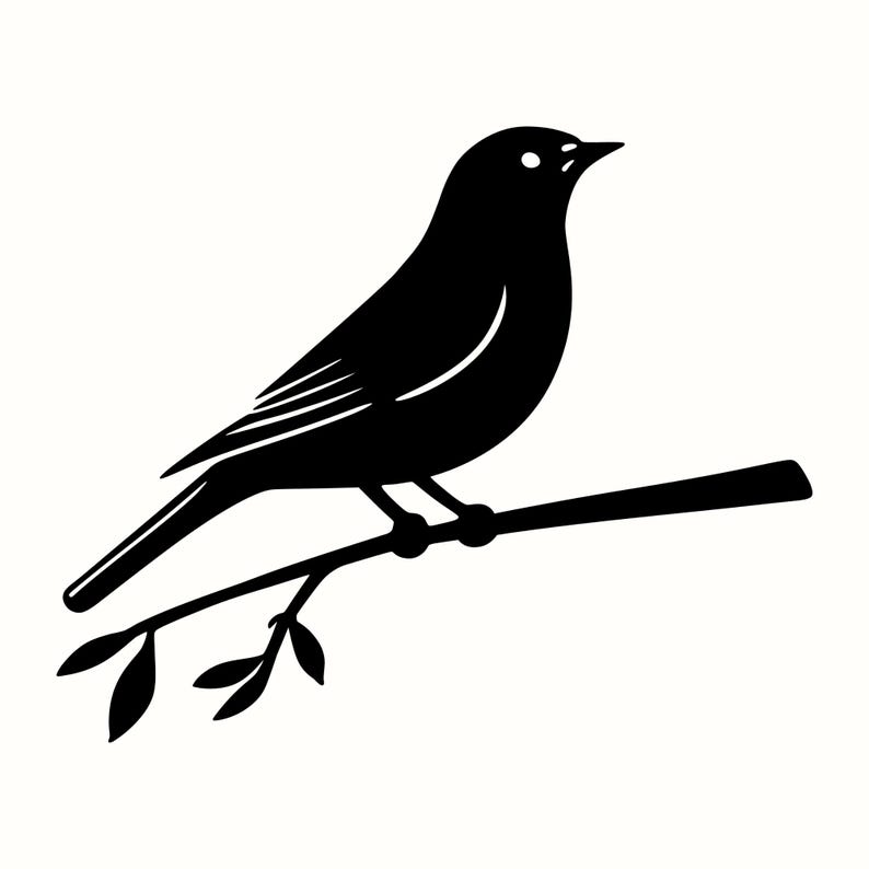 Bird on Branch SVG, Perching Finch PNG, Perched Bird Download, Sparrow ...