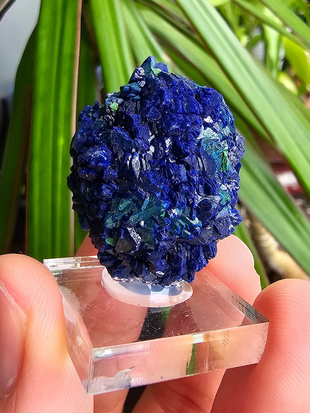 Azurite Nodule Specimen W/ Malachite - From Utah - Etsy