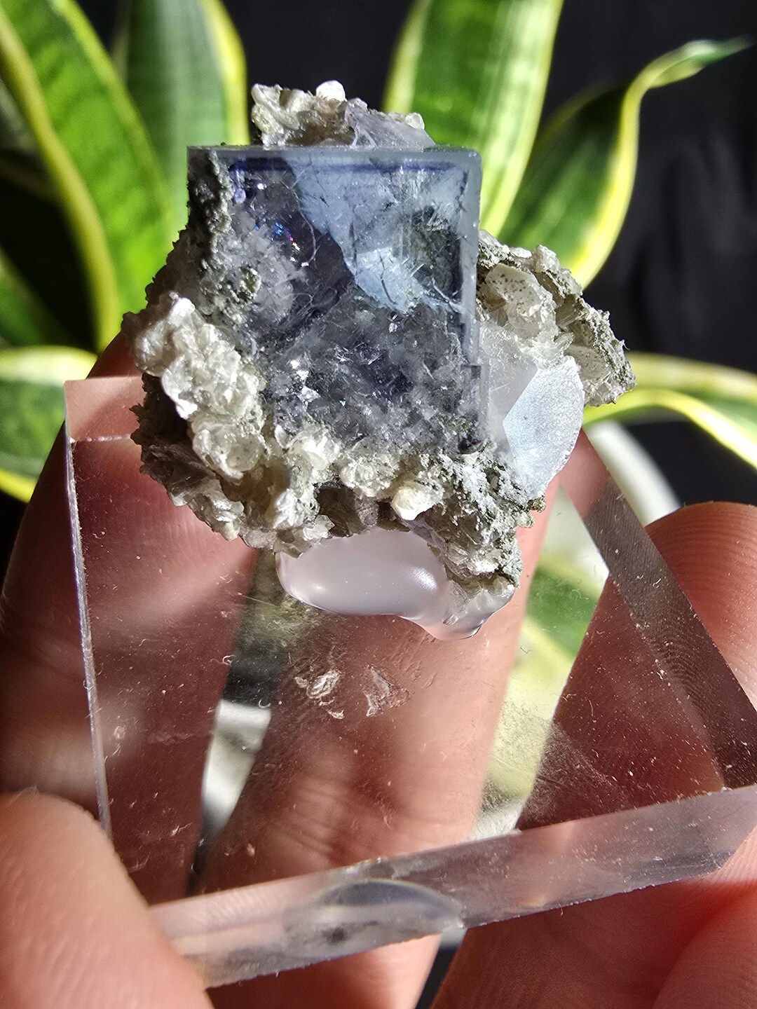 Clear Blue Phantom Fluorite Specimen W/mica and Calcite Thumbnail ...