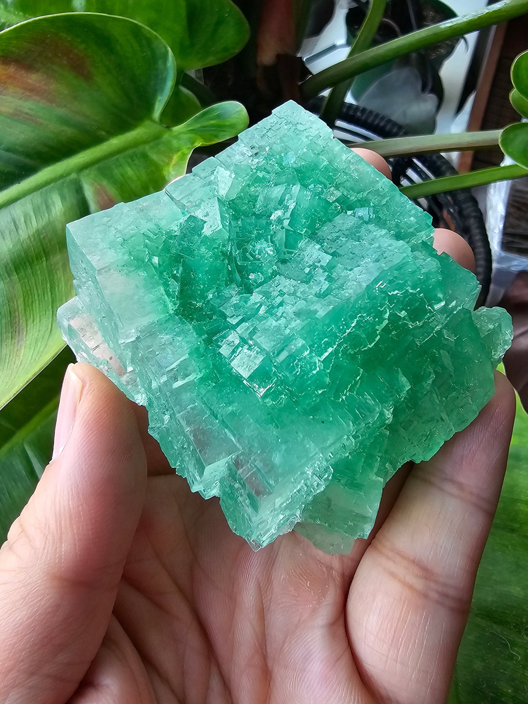 High Quality Green Atacamite Bearing Halite W/ Orange Fluorescence From ...