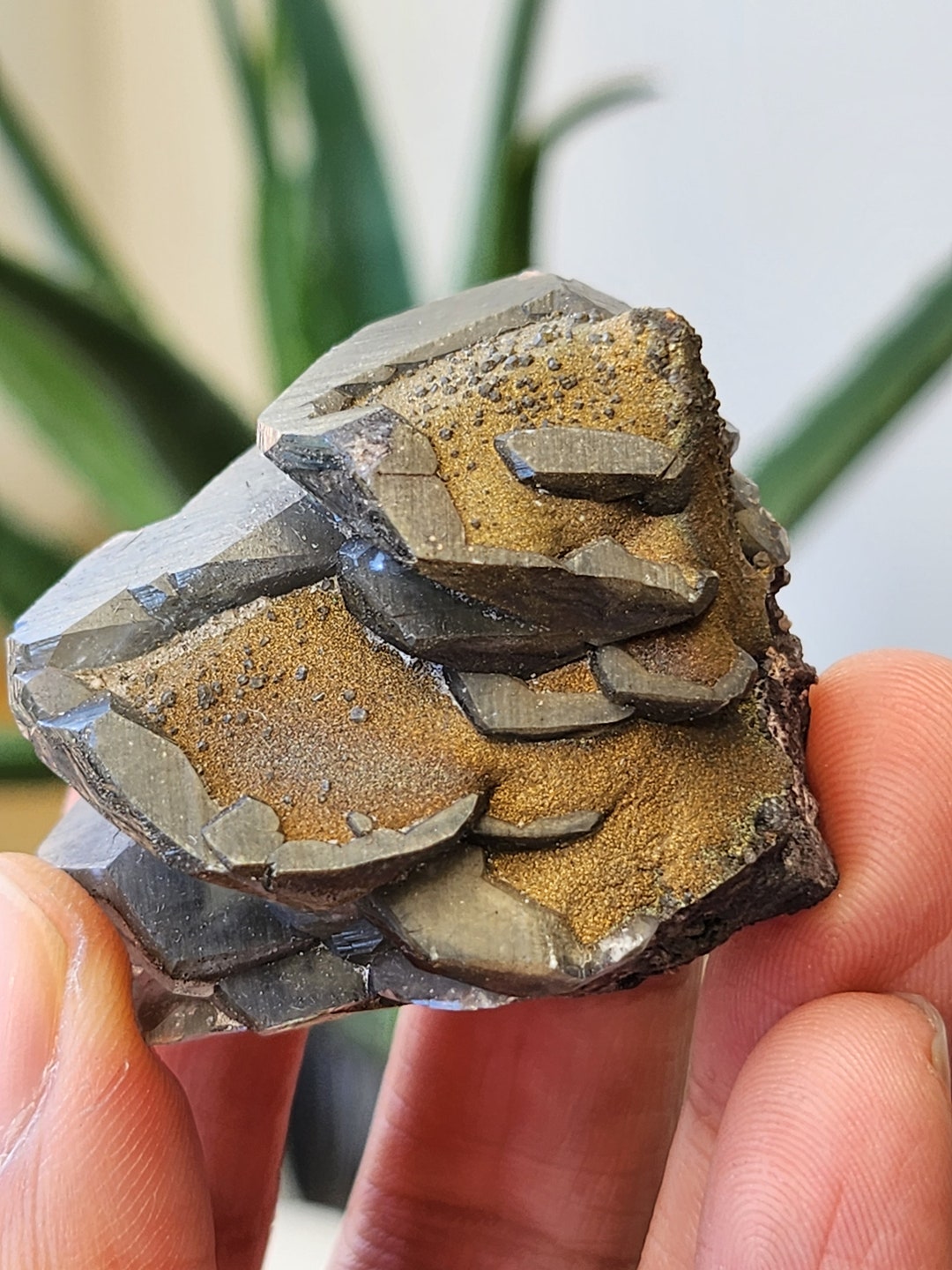 Pyrite on Calcite Specimen - Pyrite 'pagoda Calcite' - From Hubei - Etsy
