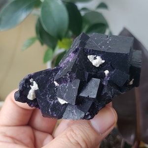 Solid Purple Cubic Fluorite Cluster - From Zhejiang - Etsy