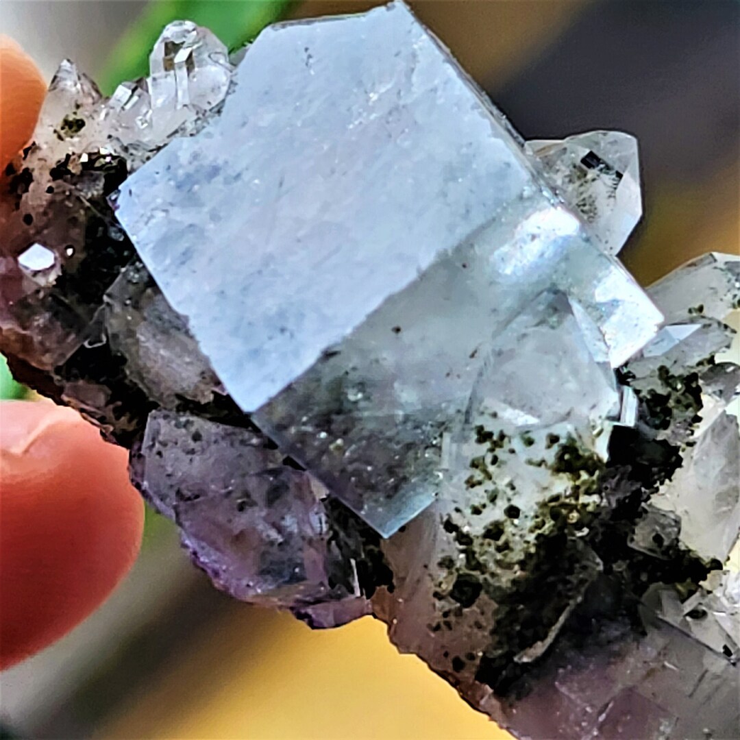 Glassy Blue Cubic Fluorite On Chlorite Quartz Cluster - Etsy 日本