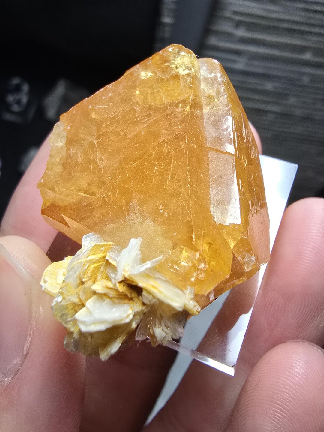 Incredible Gemmy Orange Scheelite Specimen - With Muscovite - Etsy