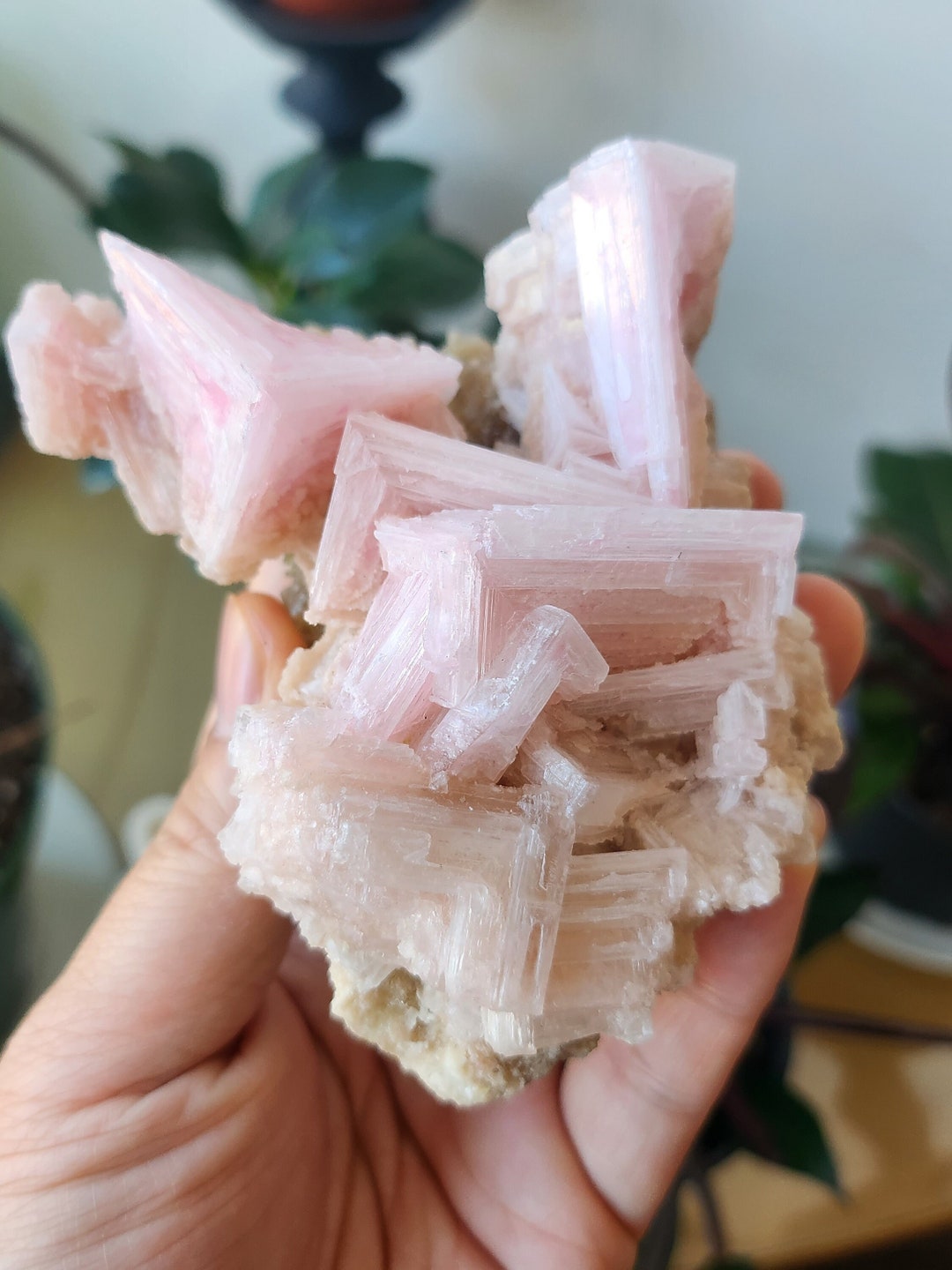 Pink Halite on Trona - From Owens Lake - Etsy UK