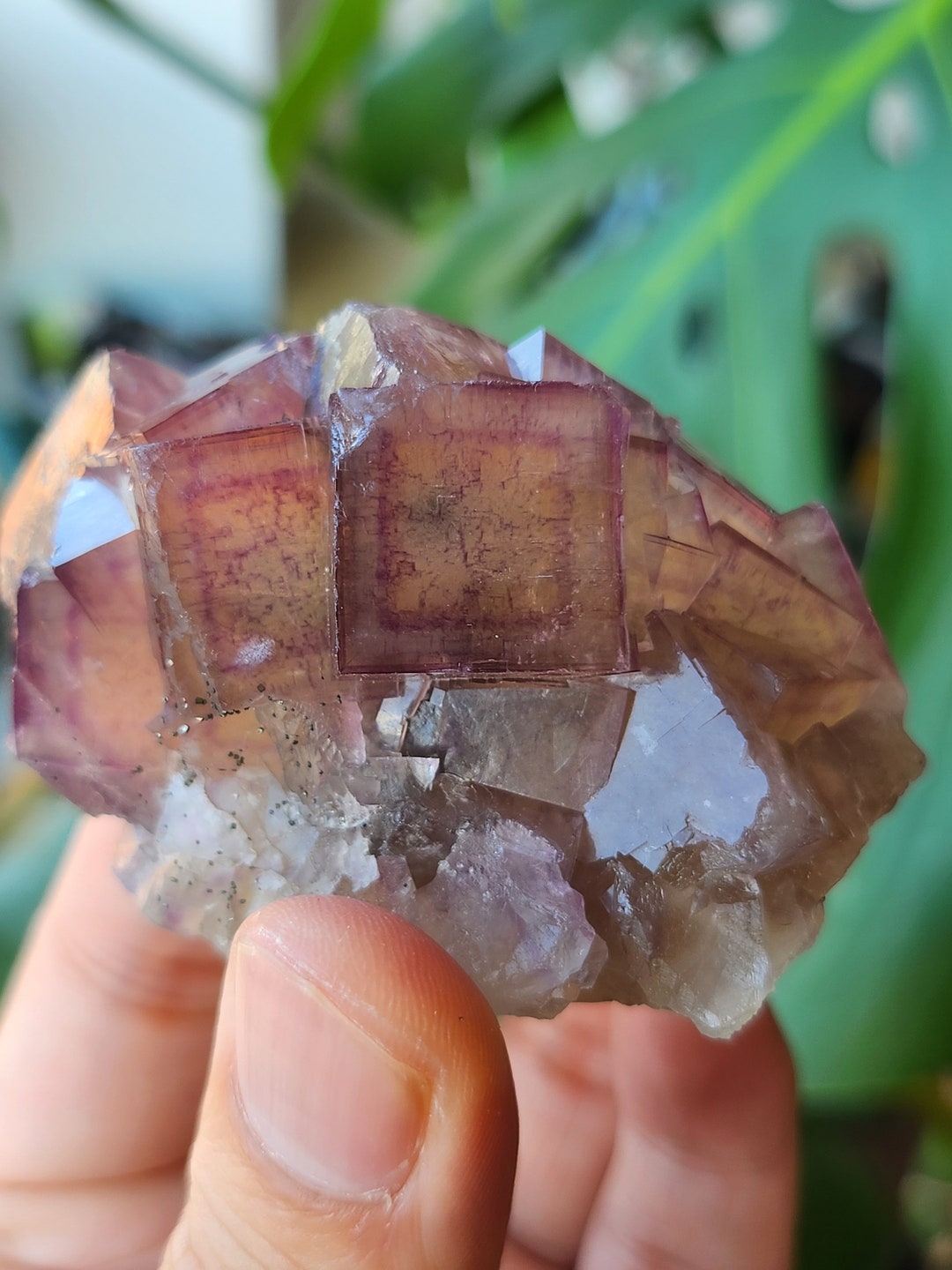 Bi-color Yellow and Purple Fluorite Specimen W/ Window Phantoms - Old ...
