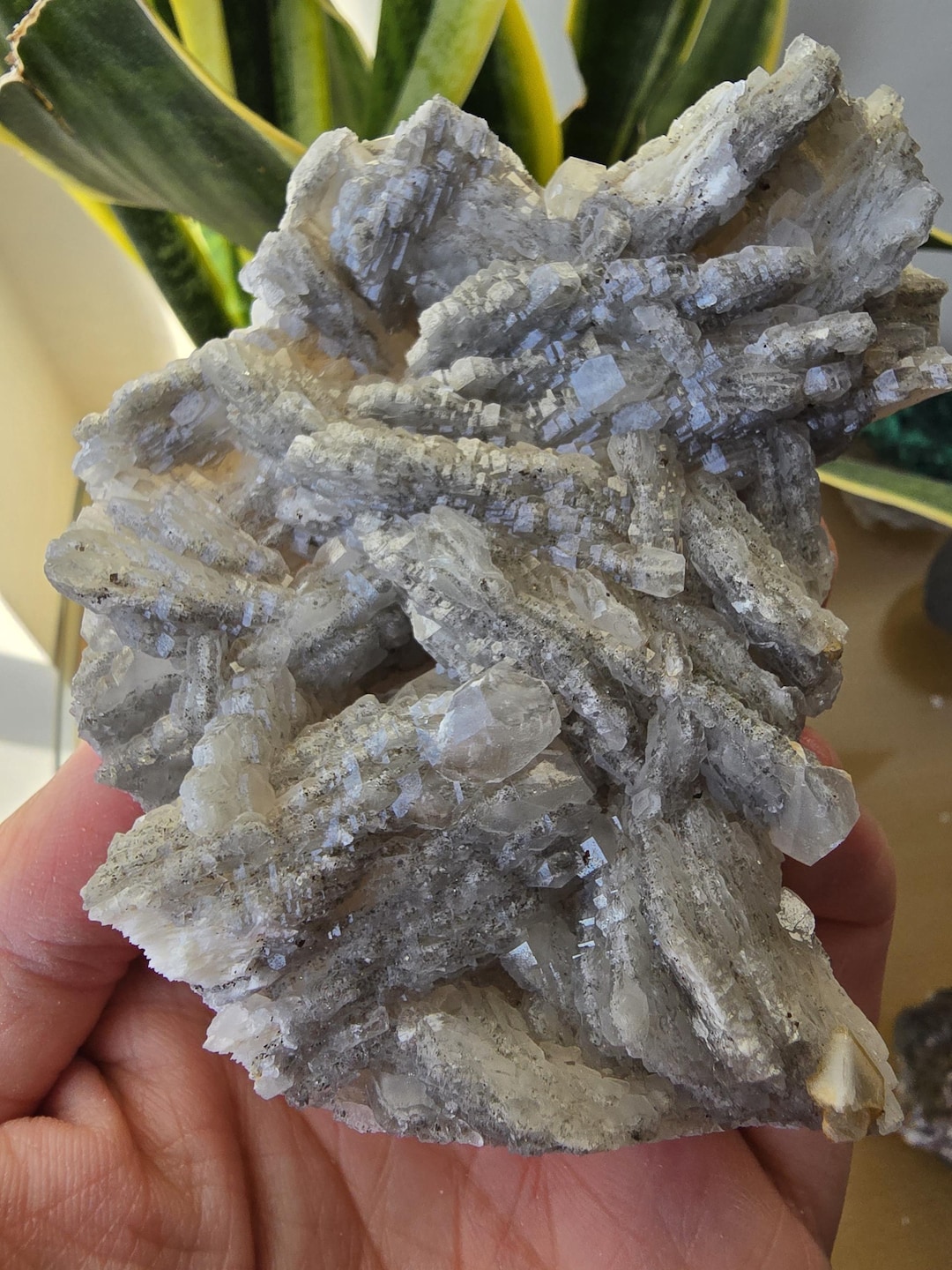 Glassy Bladed Calcite Specimen - From Zhejiang - Etsy