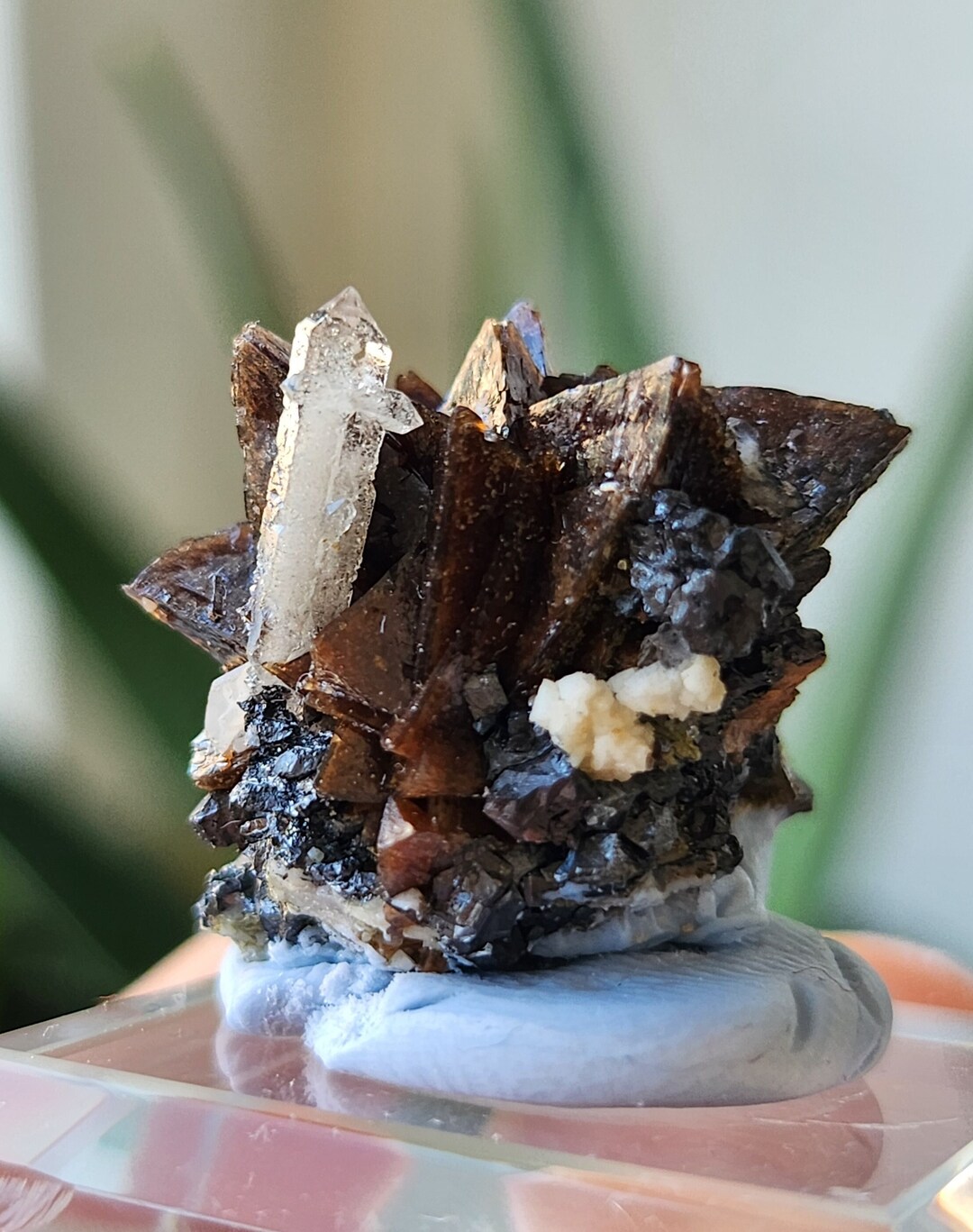 Rare Helvine 'flower' With Quartz Points - Thumbnail Specimen From ...