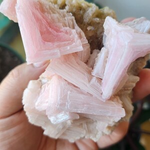 Pink Halite on Trona - From Owens Lake - Etsy