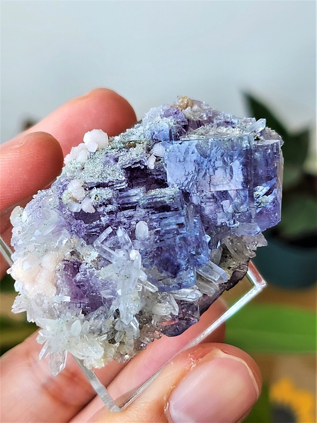 Glassy Blue & Purple Fluorite Specimen W/ Needle Quartz - Etsy