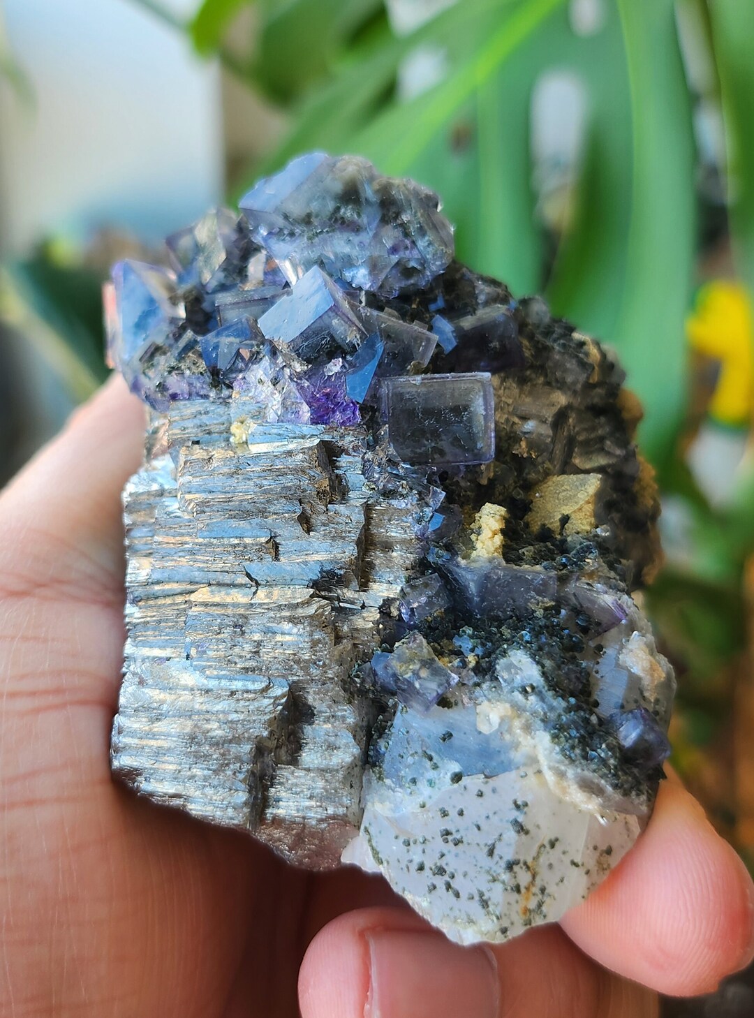 Blue Phantom Fluorite on Arsenopyrite Mountain W/siderite, Botryoidal ...