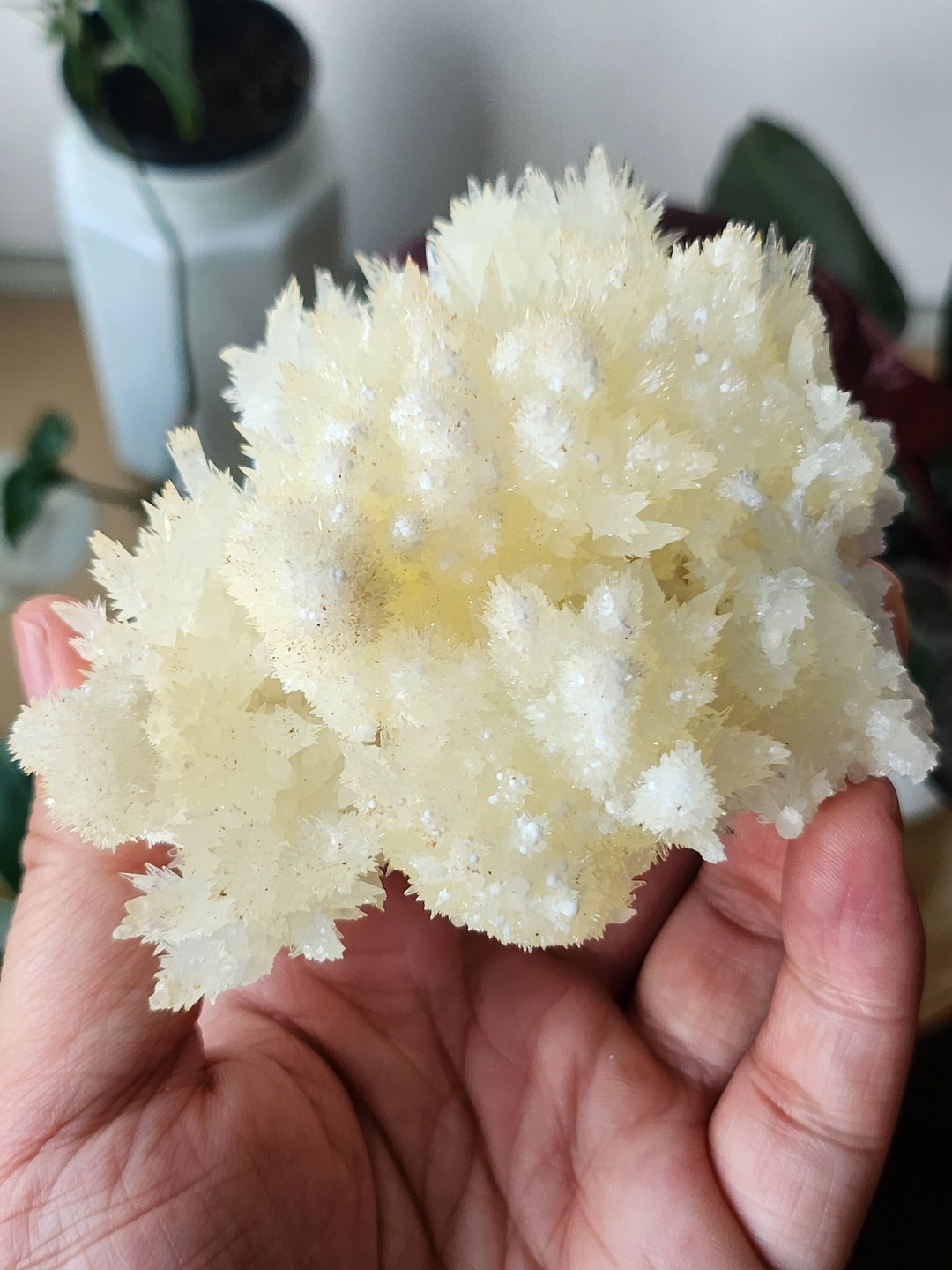 Large Spiky Cave Calcite Specimen - White Aragonite - Etsy