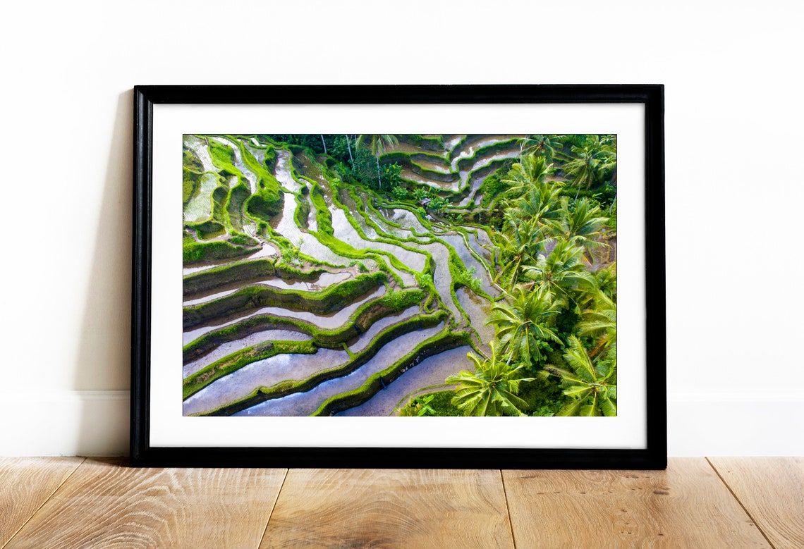 Rice Field Aerial Photo Rice Terrace Fine Art Print - Photography Print ...