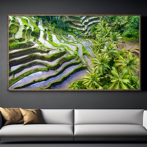 Rice Field Aerial Photo Rice Terrace Fine Art Print - Photography Print ...