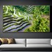 Rice Field Aerial Photo Rice Terrace Fine Art Print - Photography Print ...
