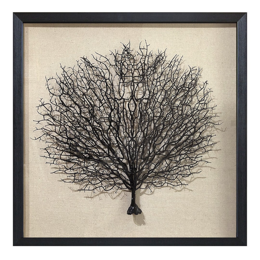 Shadow Box Seafan Coral Resin Simulation Wall Art Tree of Life Wall ...