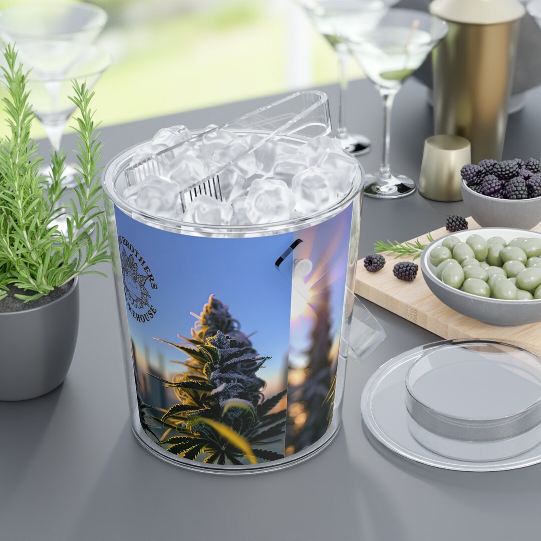 Chill in Style With Our Ice Bucket and Tongs Set - Etsy