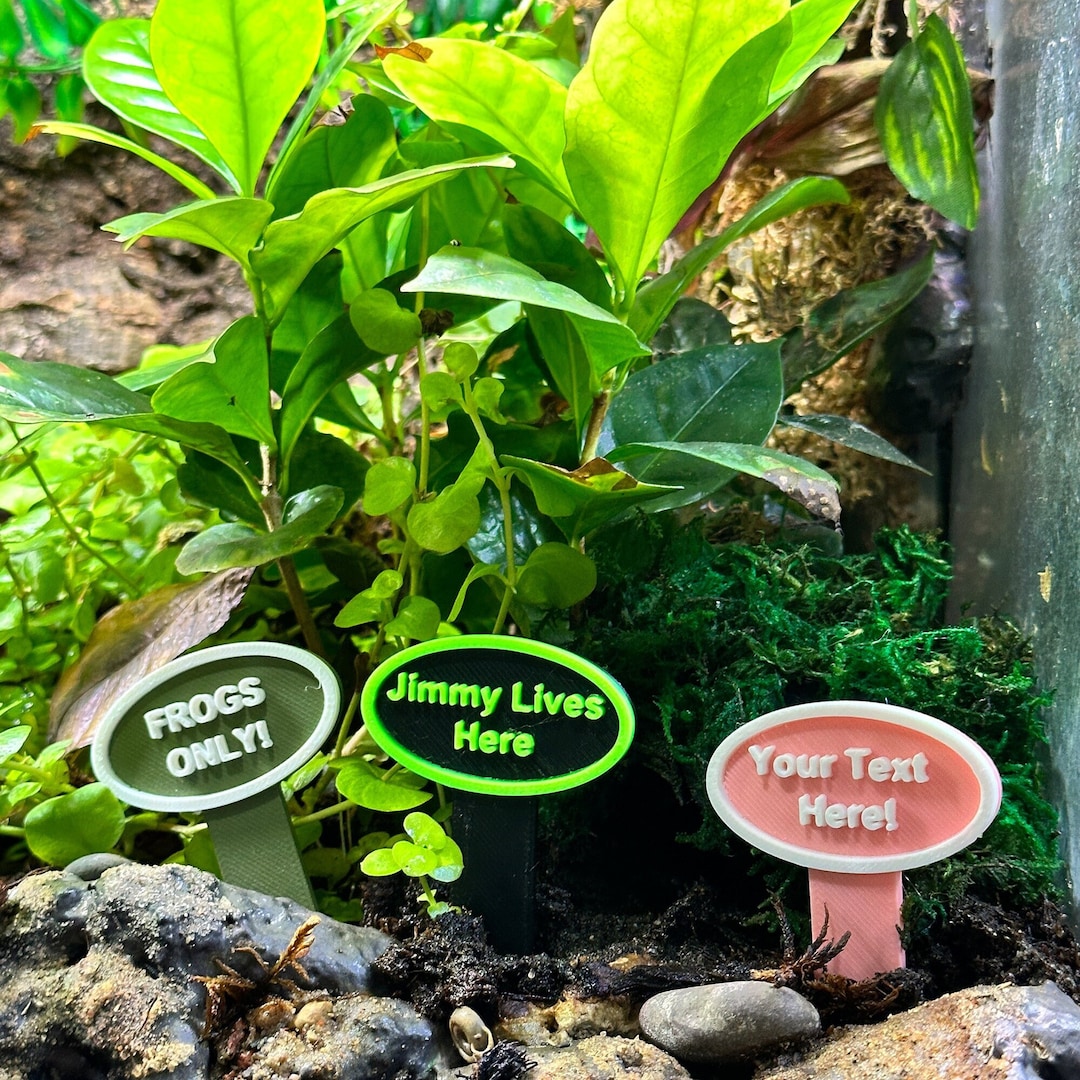Custom Terrarium & Aquarium Sign Named Pet Sign Perfect for Geckos ...