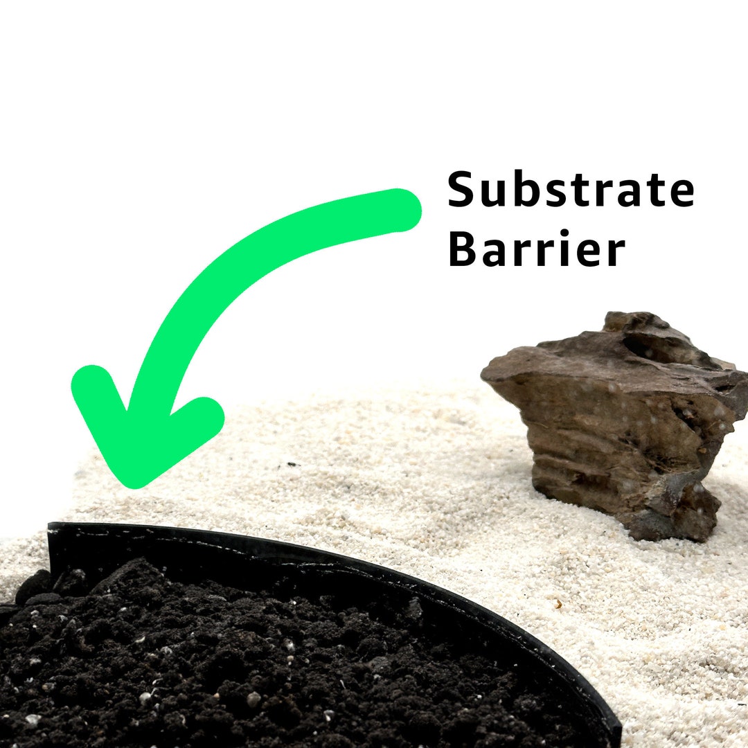 Substrate Guard for Aquairums - Etsy