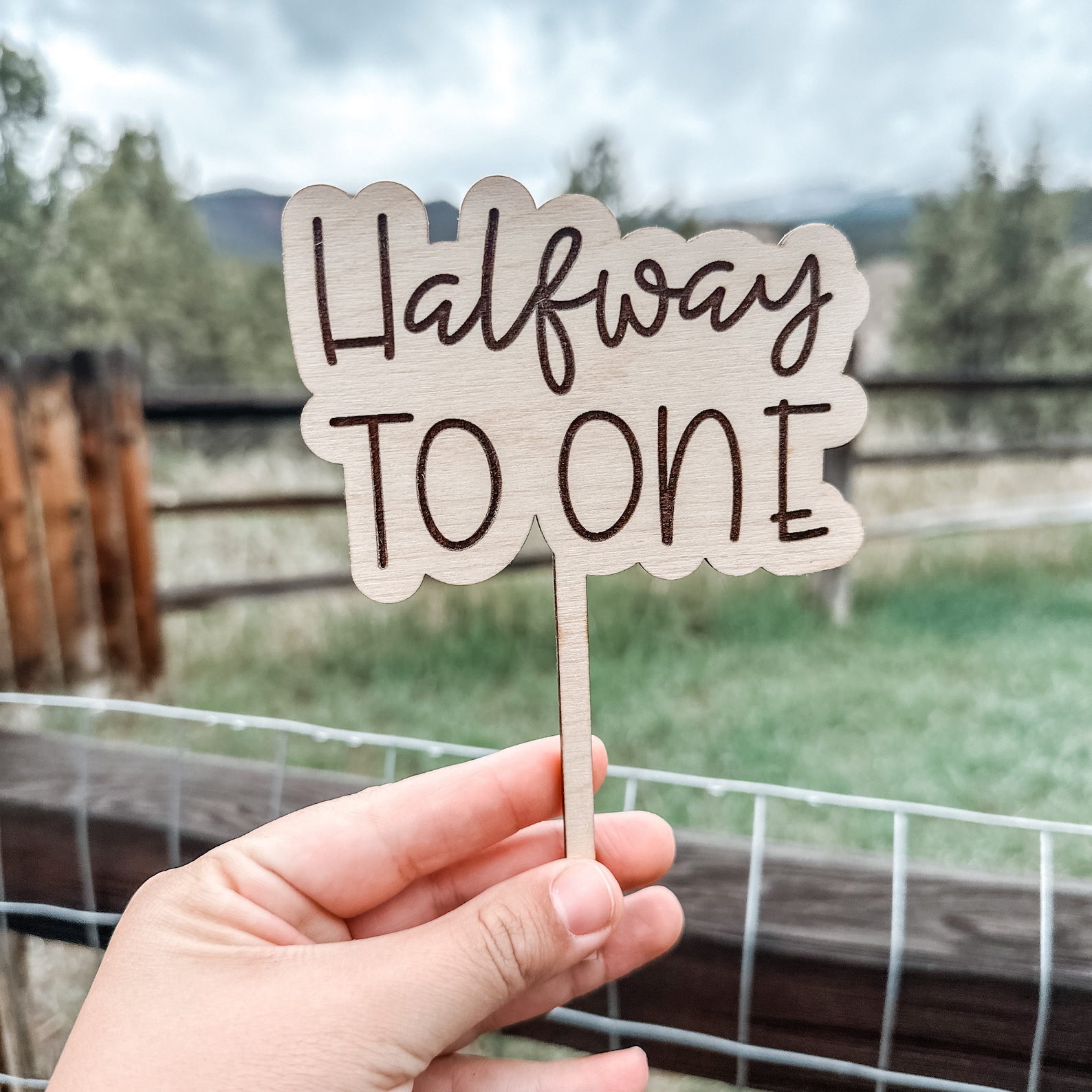 Halfway to One Caketopper Halfway to One Girl Wooden Cake Topper Baby ...