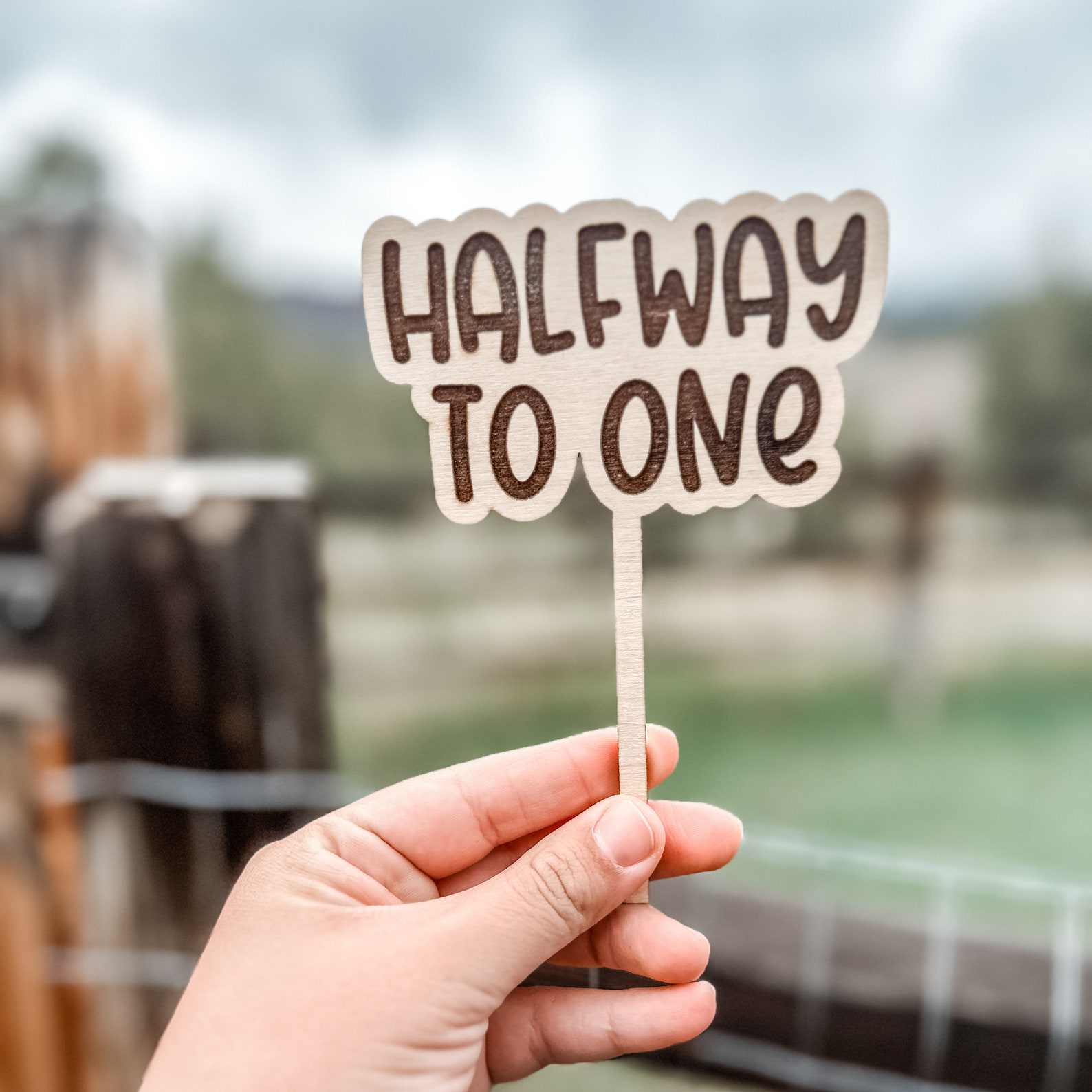 Halfway to One Caketopper Halfway to One Girl Wooden Cake Topper Baby ...