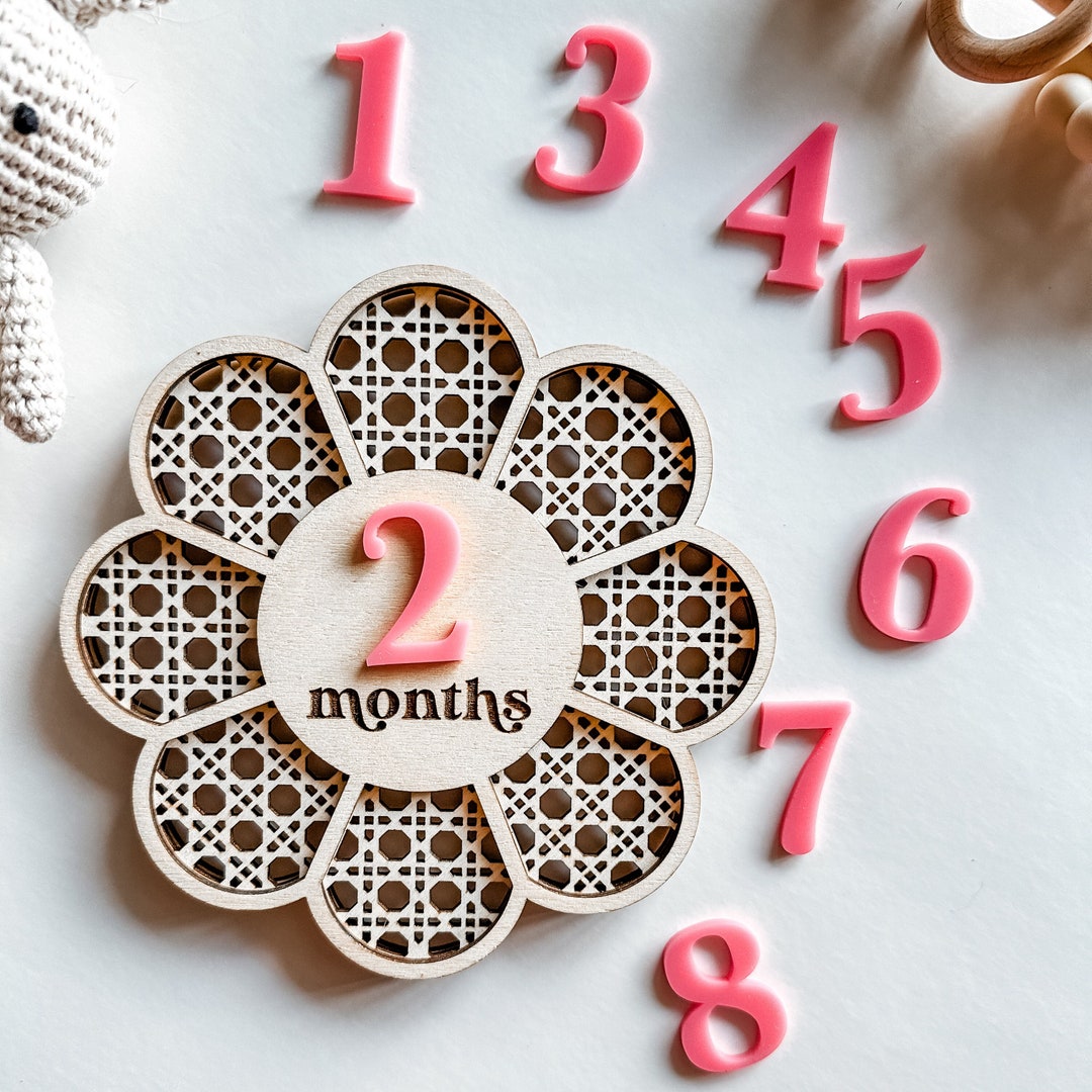 Flower Milestone Marker Baby Boho Monthly Milestone Girl ...