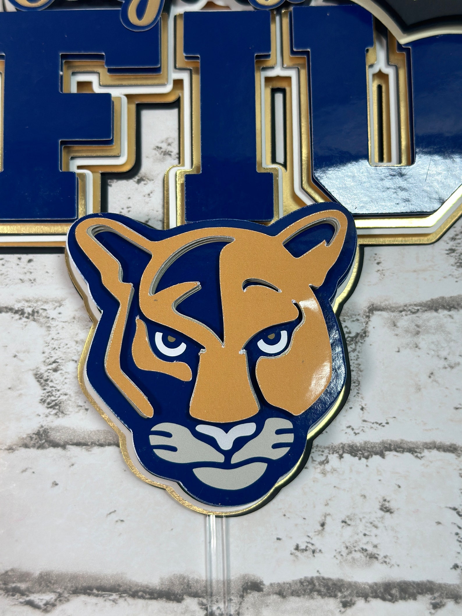 FIU Cake Topper, Graduation Cake Topper, University of Florida Cake ...