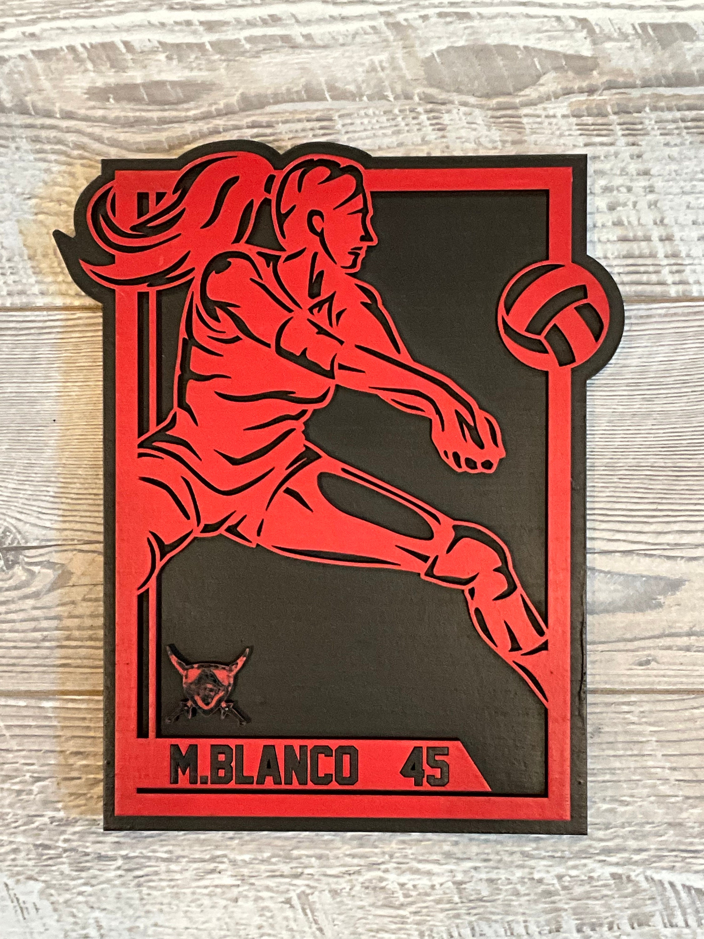 Custom Volleyball Player Sign, Personalized Name Sign for Seniors ...