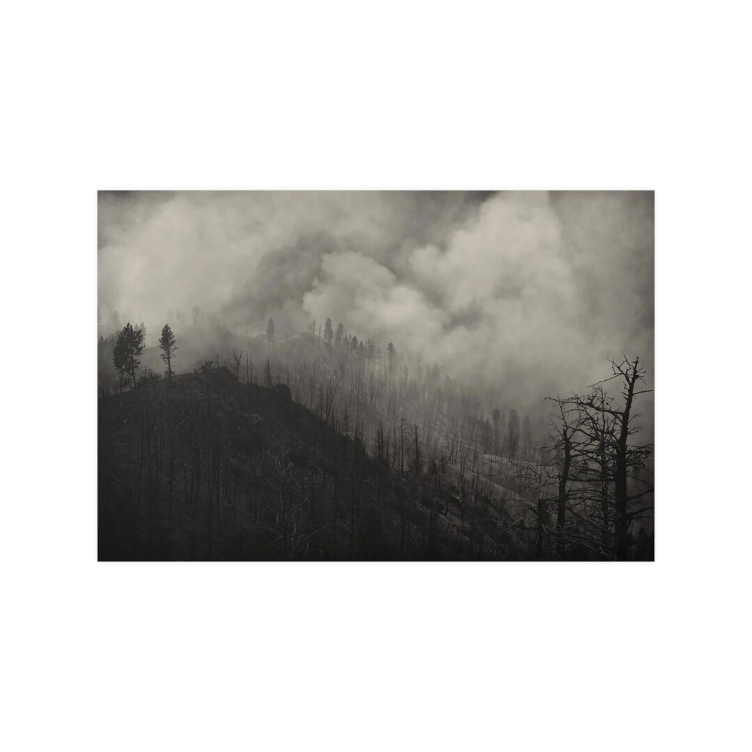 Forest Fire Print | Wildfire Poster Black and White - Etsy
