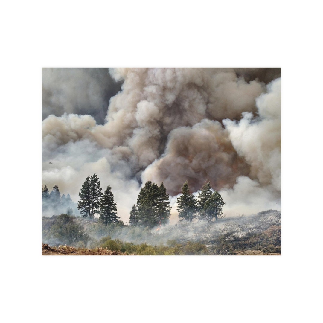 Wild Land Fire Poster | Pioneer Fire Column | August 5, 2016 | Pioneer ...